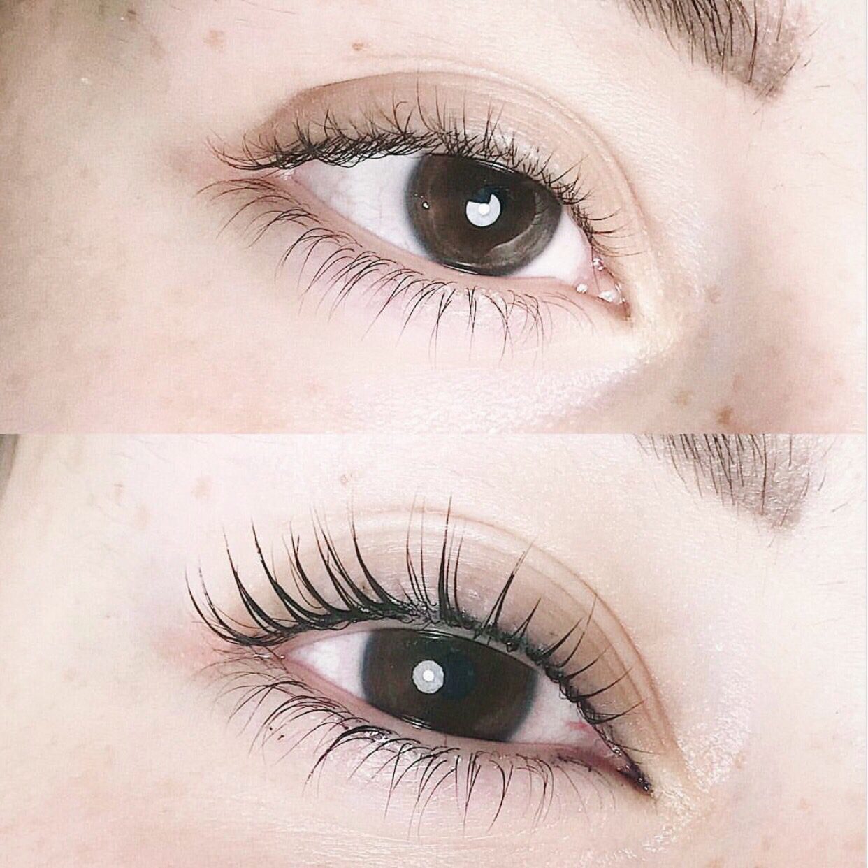 Lash Lift VS Lash Extensions : Primp & Proper
